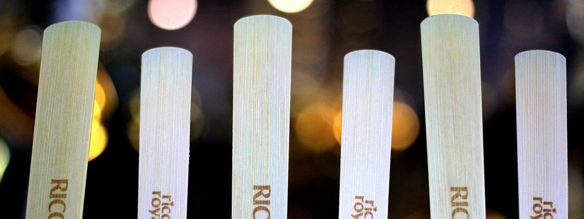 Saxophone Reed Advice - An overview on everything reed related! – SAX